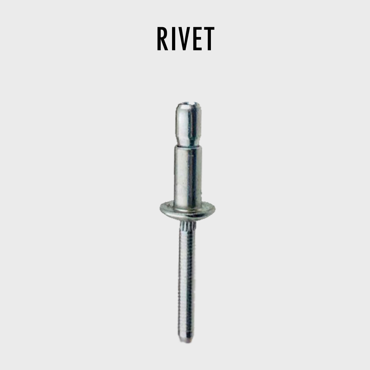 Rivet